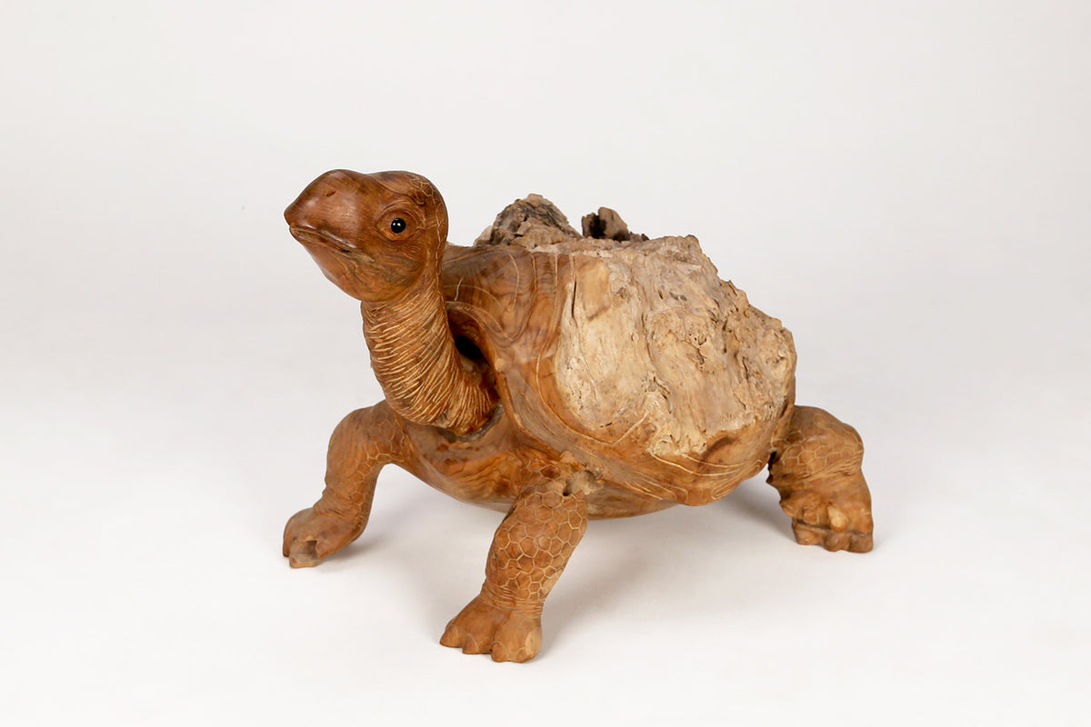 Teak Turtle Sculpture – Walker Zabriskie Furniture