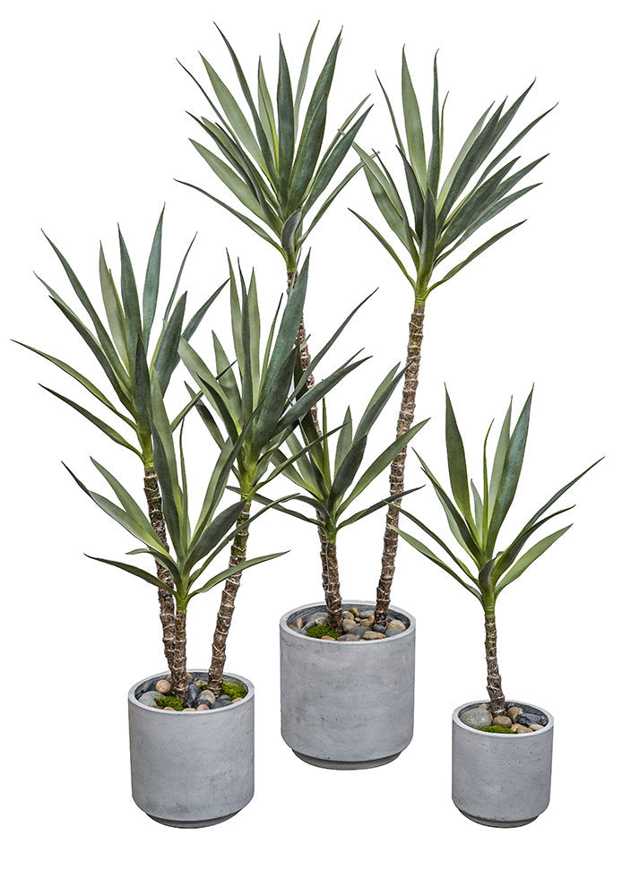 Faux Yucca Plants – Walker Zabriskie Furniture